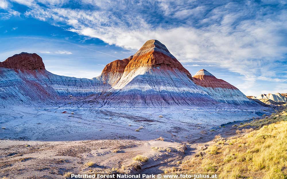 852 Petrified Forest National Park