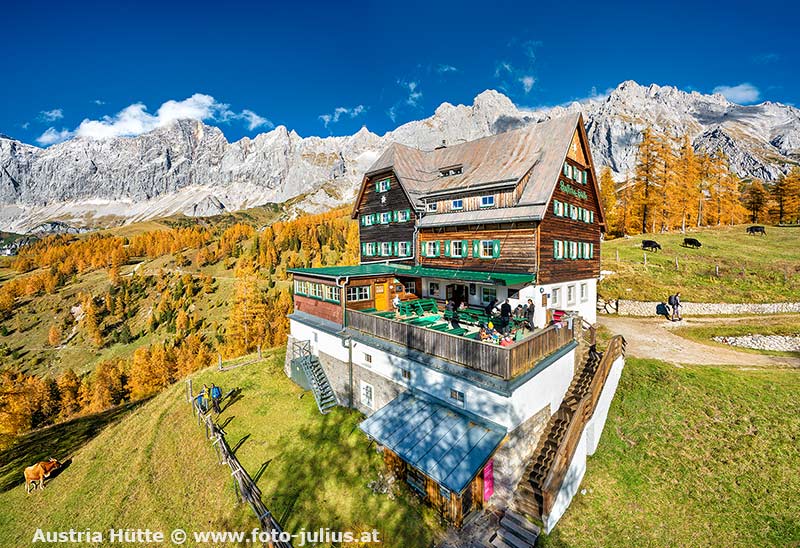 3561 Austria Hutte