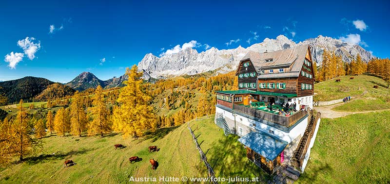 3562 Austria Hutte