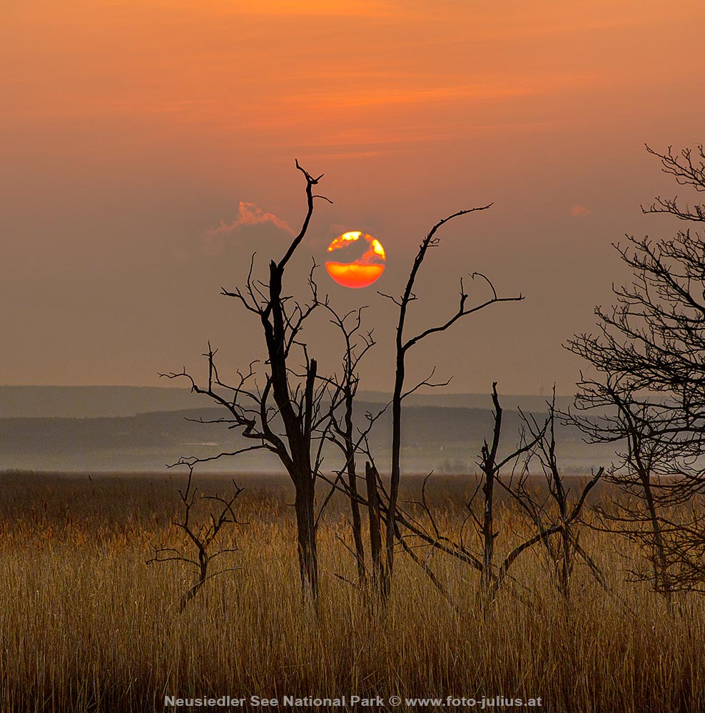 065b Neusiedler See Nationalpark