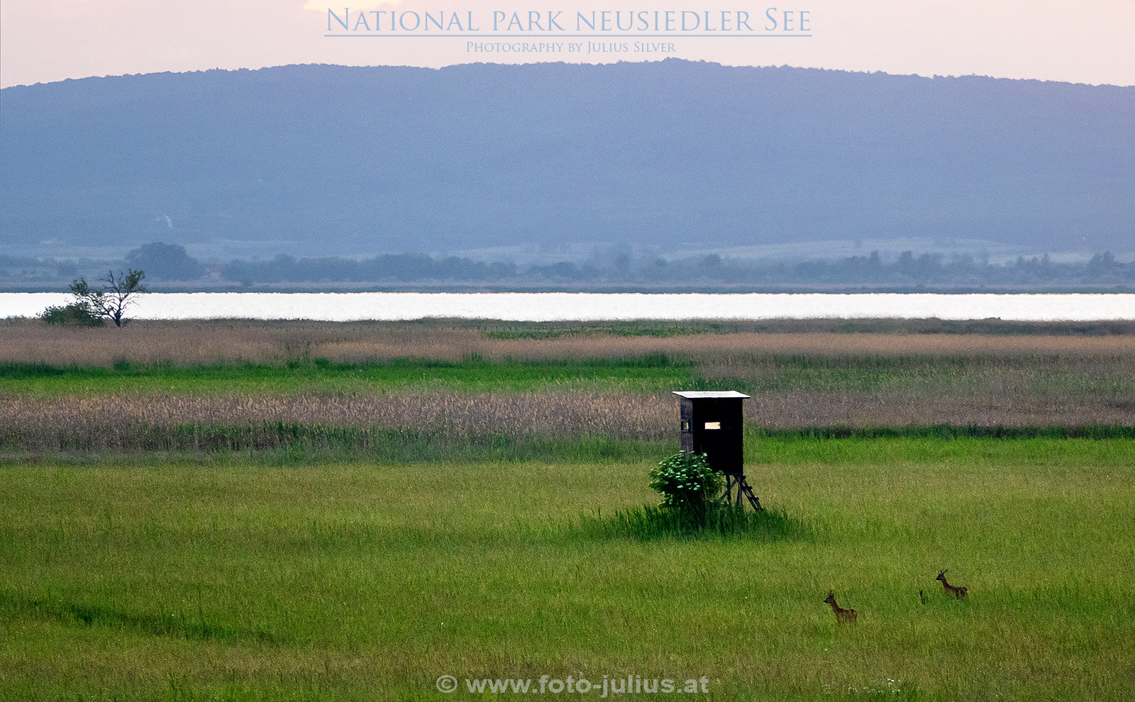 139a Nationalpark Neusiedler See Seewinkel