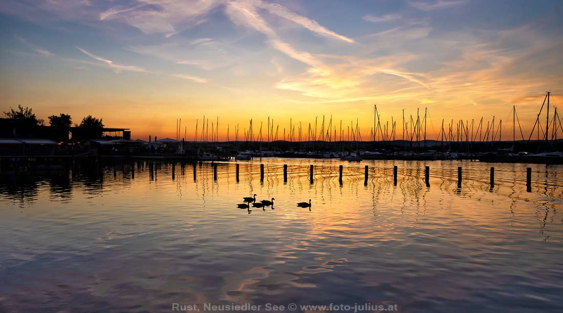 153b Rust Neusiedler See